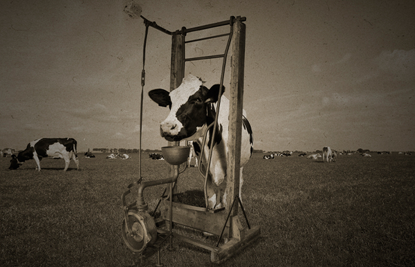 More than 100 years of farm machinery from Spelle | Here » KRONE